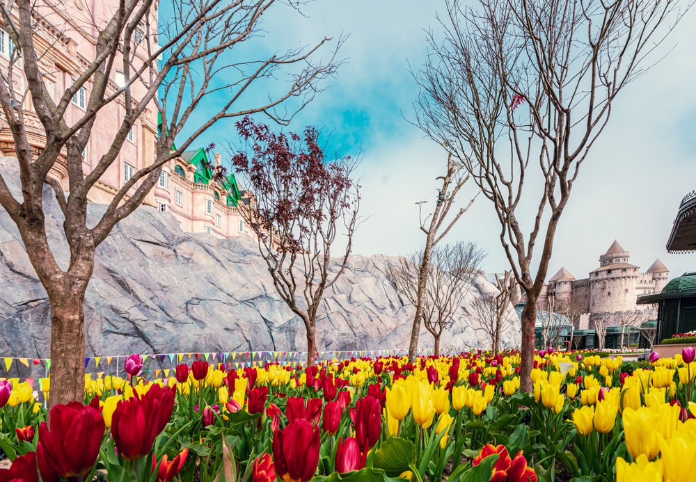 2 điểm đến khách Tây mê tít, chọn để “ăn Tết” Ất Tỵ, người Việt cũng ...