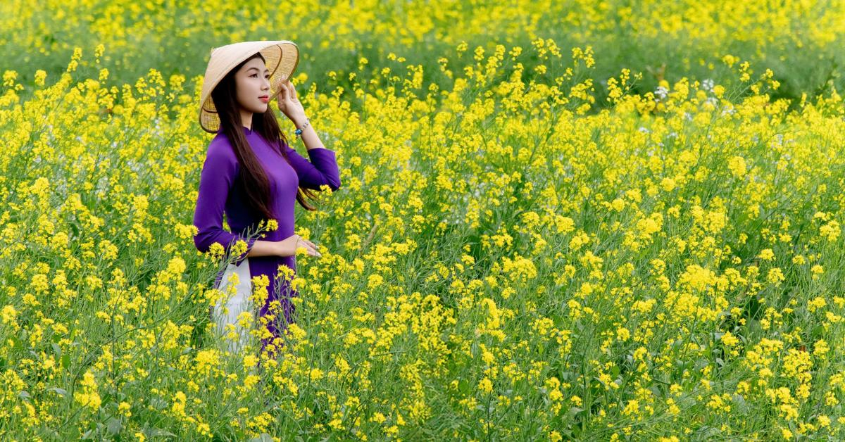 Tà áo dài tím gửi thương nhớ vào mùa hoa cải