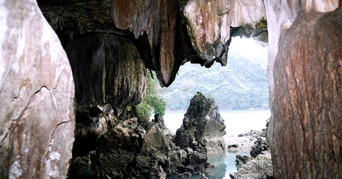 Hoang sơ đảo Cái Lim