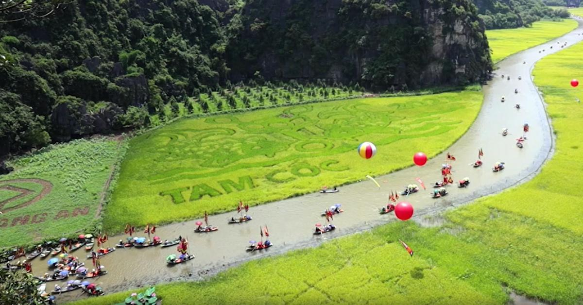 Xây dựng cánh đồng lúa đẹp nhất Việt Nam thành cánh đồng lúa nghệ thuật